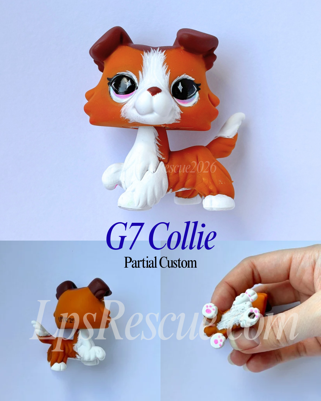 G7 LPs Collie Partial Custom – Lps Rescue